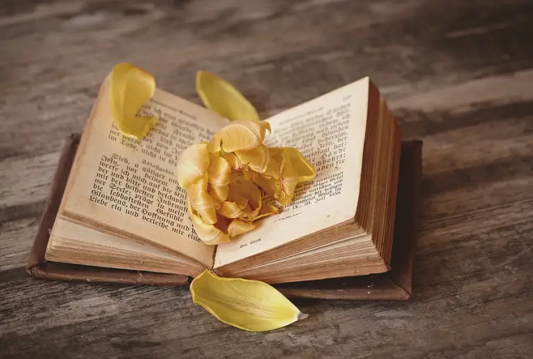 How to Print Your Own Book: A Guide for Fresh and Aspiring Authors